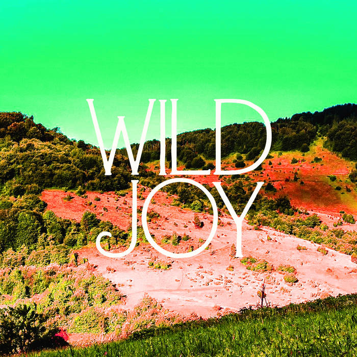 Wild Joy | Wild Joy