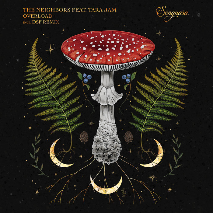 Overload incl. DSF Remix | The Neighbors feat. Tara Jam | Songuara