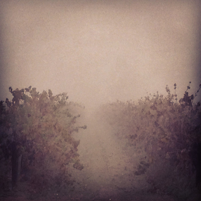 The Agonic Line | The Agonic Line