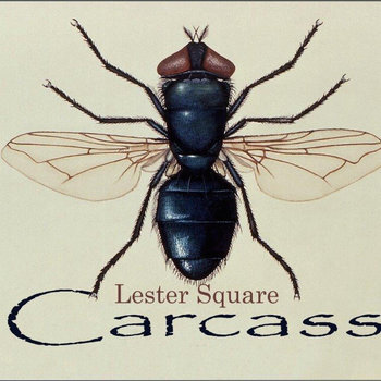 Music | Lester Square