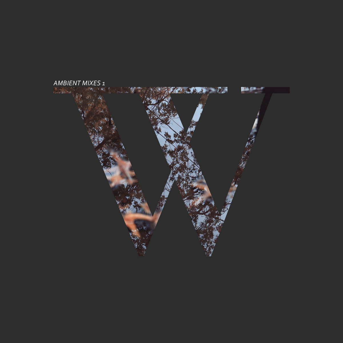 Winner Yg Logo Wallpaper