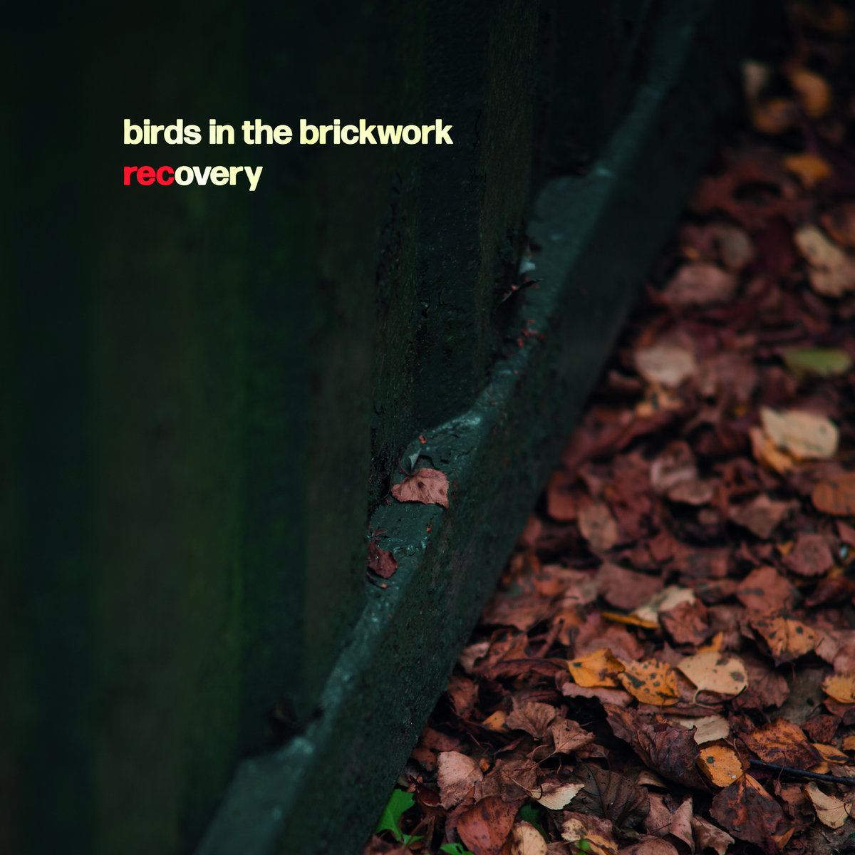 Recovery | birds in the brickwork | Wayside & Woodland Recordings
