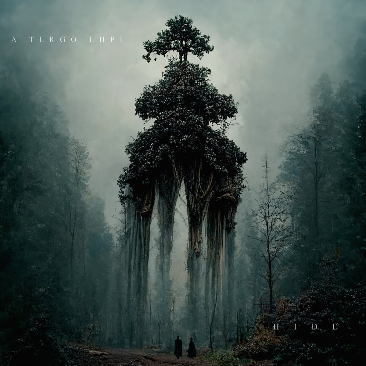 Hide (Album) | A Tergo Lupi