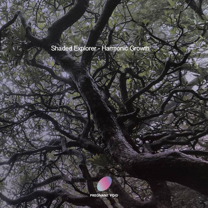 Harmonic Growth | Shaded Explorer | Pregnant Void