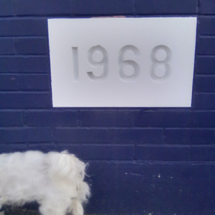 Enya for Nancy - Ghosts of the Highrise | Spaghetti Tapes