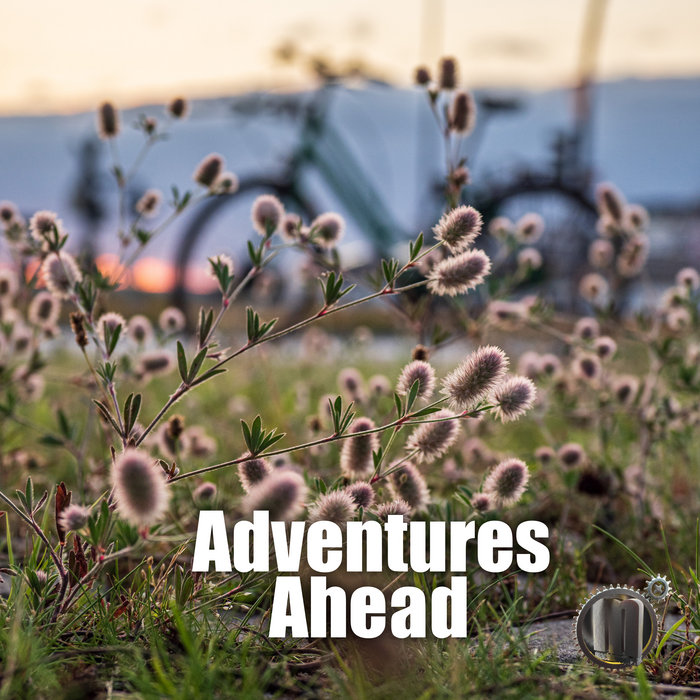 Adventures Ahead | Machinespirit