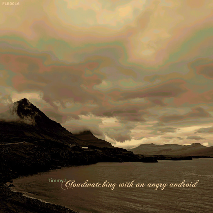 Cloudwatching with an angry android | Timmy T | FOOTLONG RECORDS