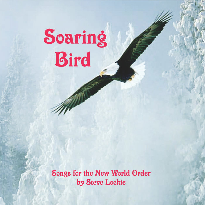 Soaring Bird | Steve Lockie