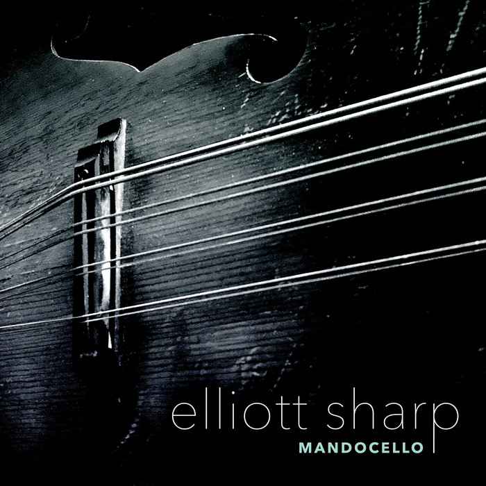 Mandocello | Elliott Sharp