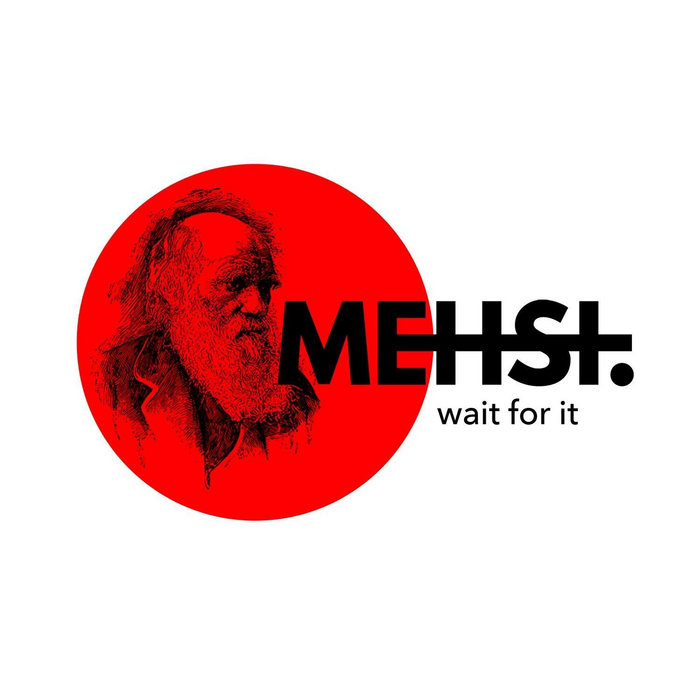 Wait For It | MEHSI