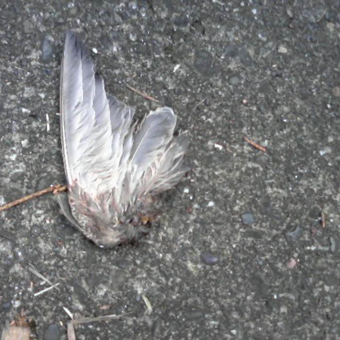 Roger | Felecia and the Dinosaur