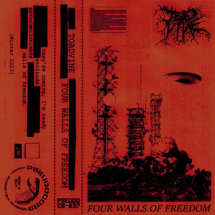 Four Walls of Freedom | Toadvine