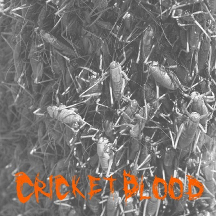 Cricket Blood | Cricket Blood