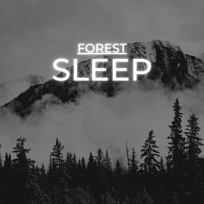 Forest Sleep | Science Of Sleeping