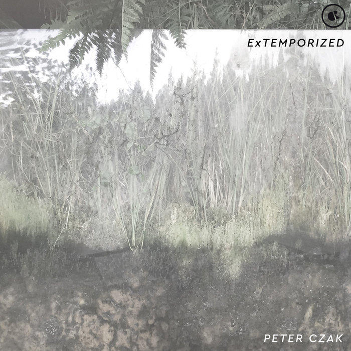 Extemporized | Peter Zack