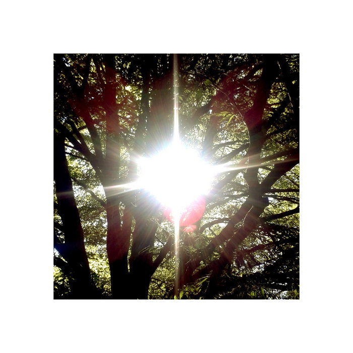 In Light | Ian Russell