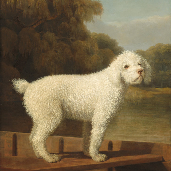 Monthly David | Roscoe Moss