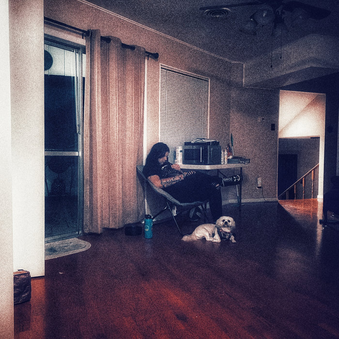 Nocturne Drive | Sage Beach