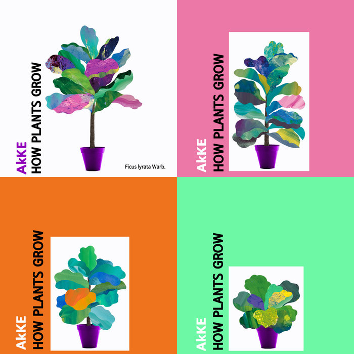 How Plants Grow | akke