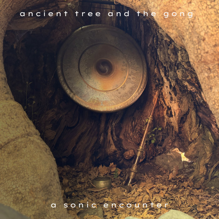 ancient tree and the gong | sound to silence