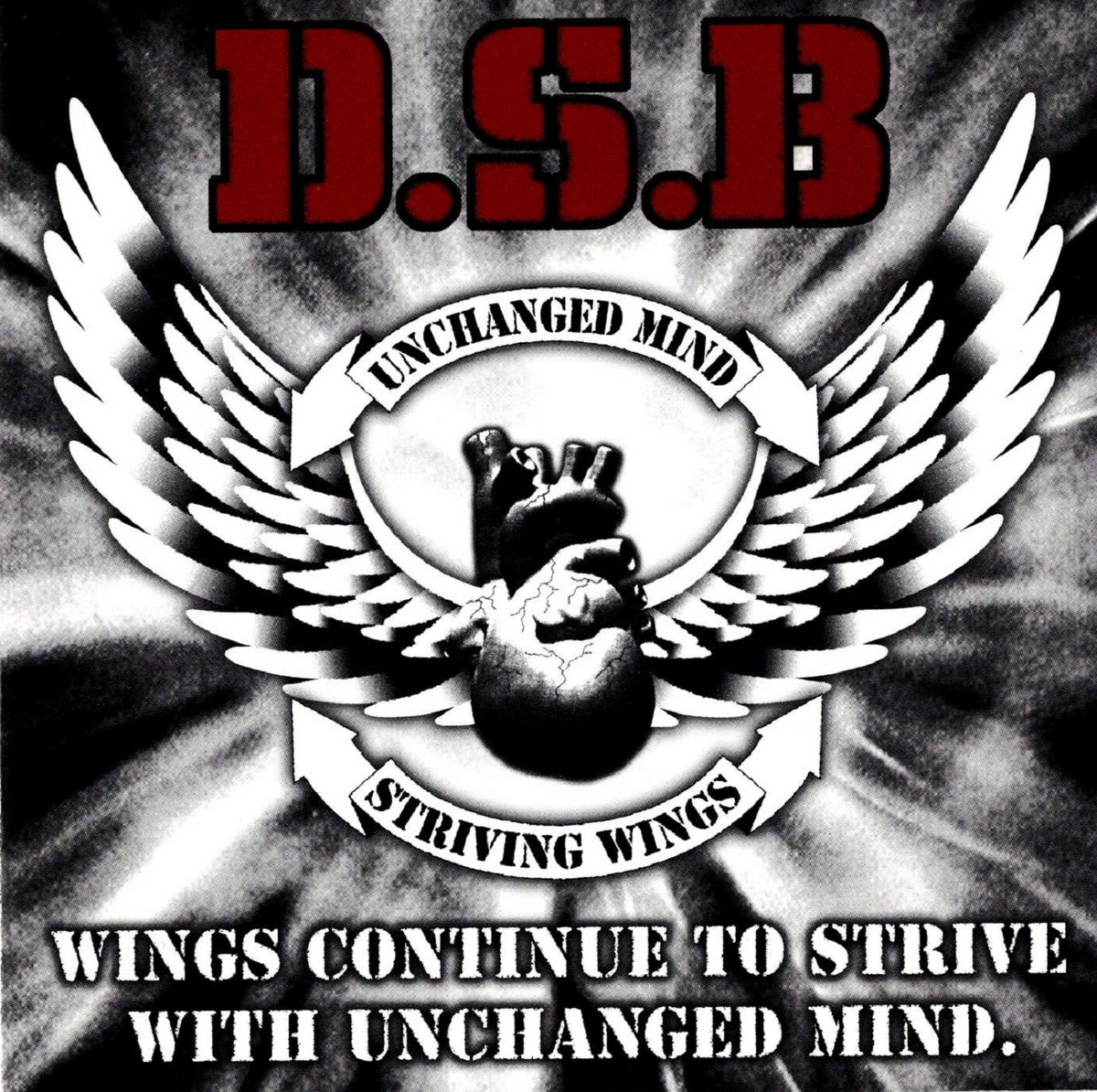 Wings Continue To Strive With Unchanged Mind | D.S.B