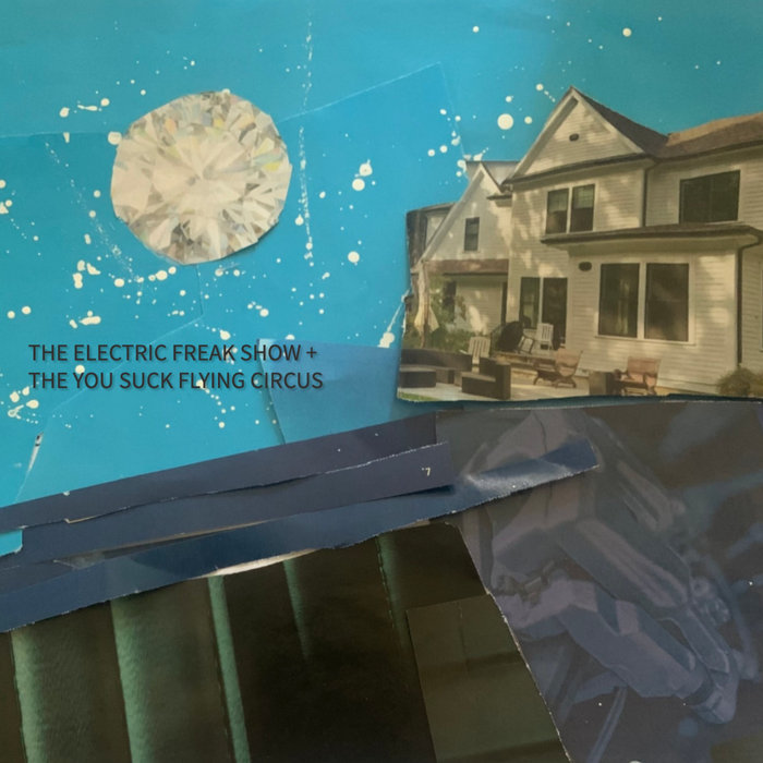 The Electric Freak Show + The You Suck Flying Circus | Flowerpot Records