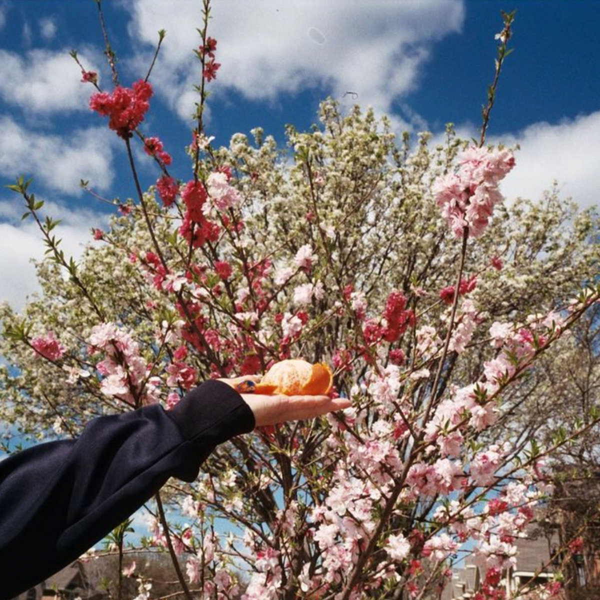 past friends EP (original mixes) | Lucas Fowler