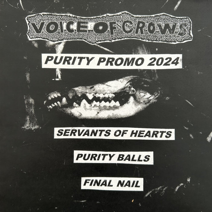 Purity Promo 2024 | Voice of Crows