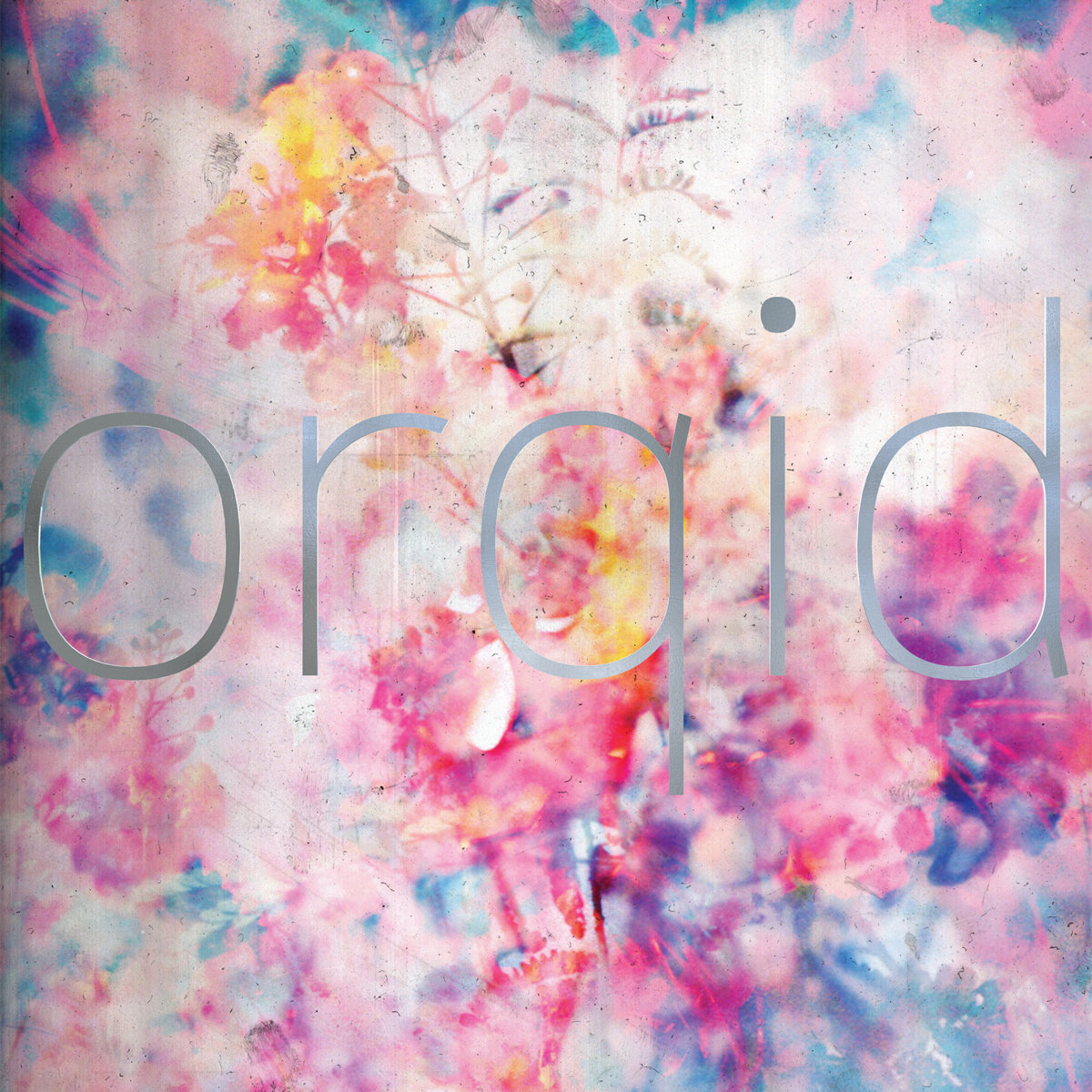 Our Love | Orqid