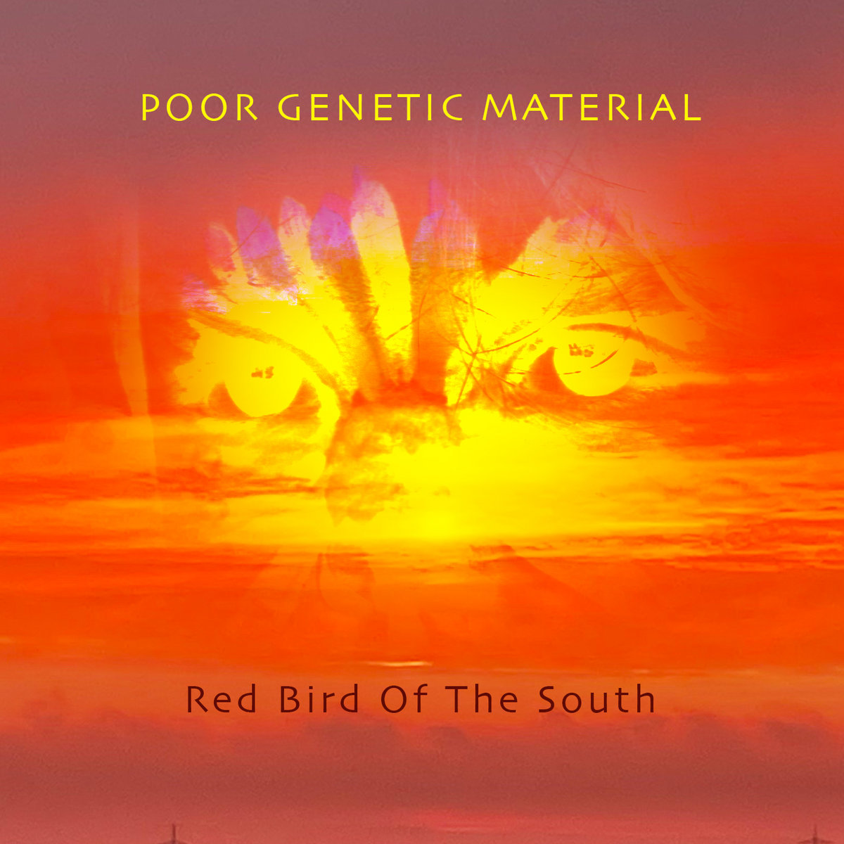 Red Bird Of The South | Poor Genetic Material