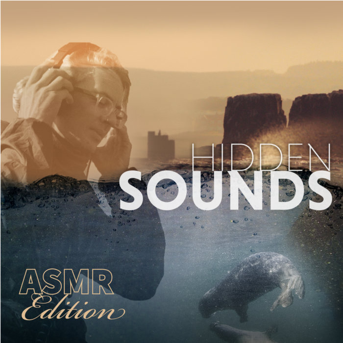 Hidden Sounds (Underwater ASMR Edition) | David de la Haye