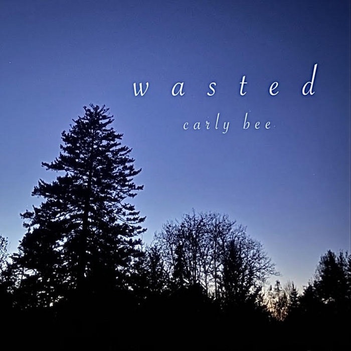 Wasted | Carly Bee