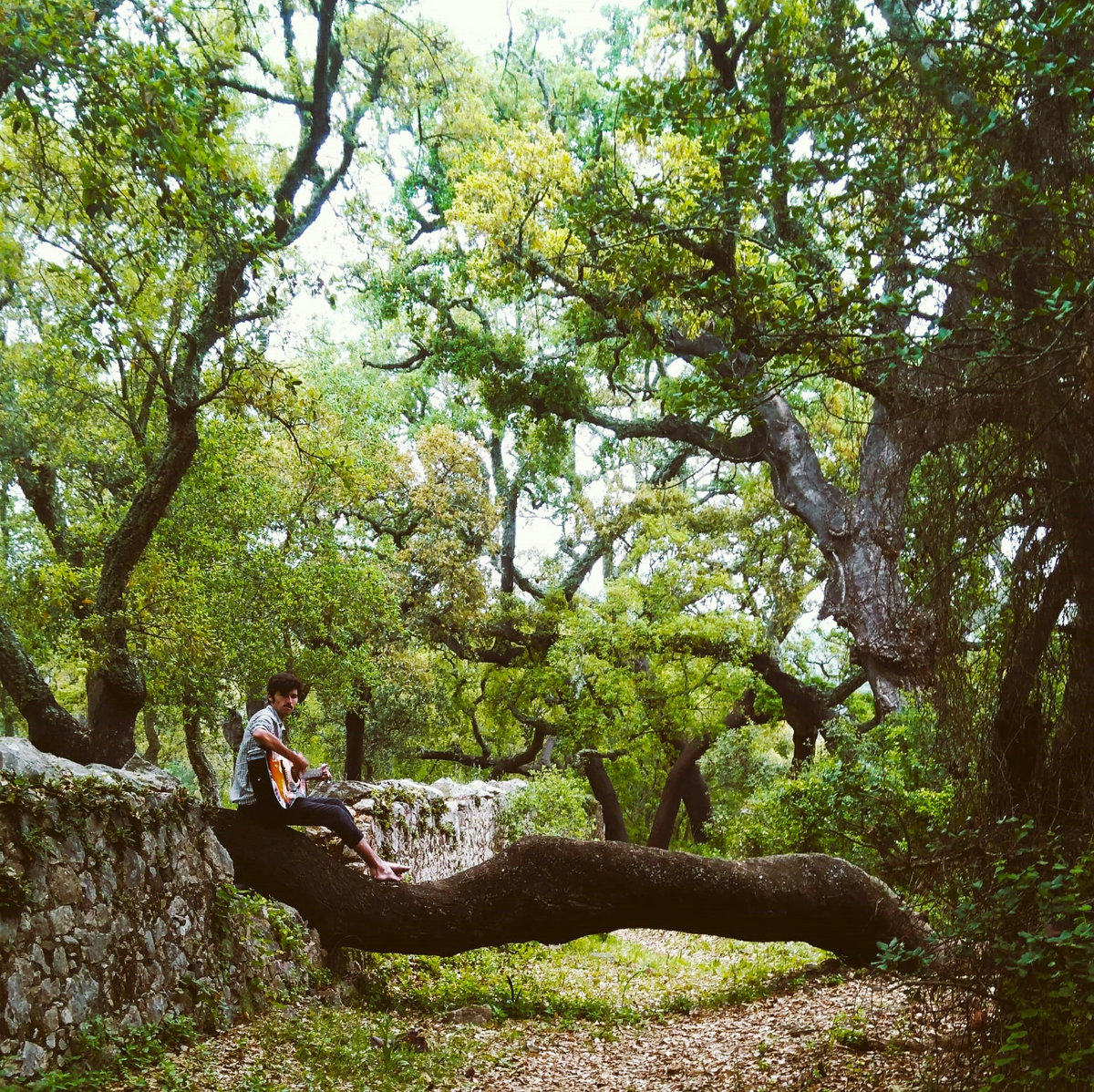 Serro Sessions | Luke Redmond