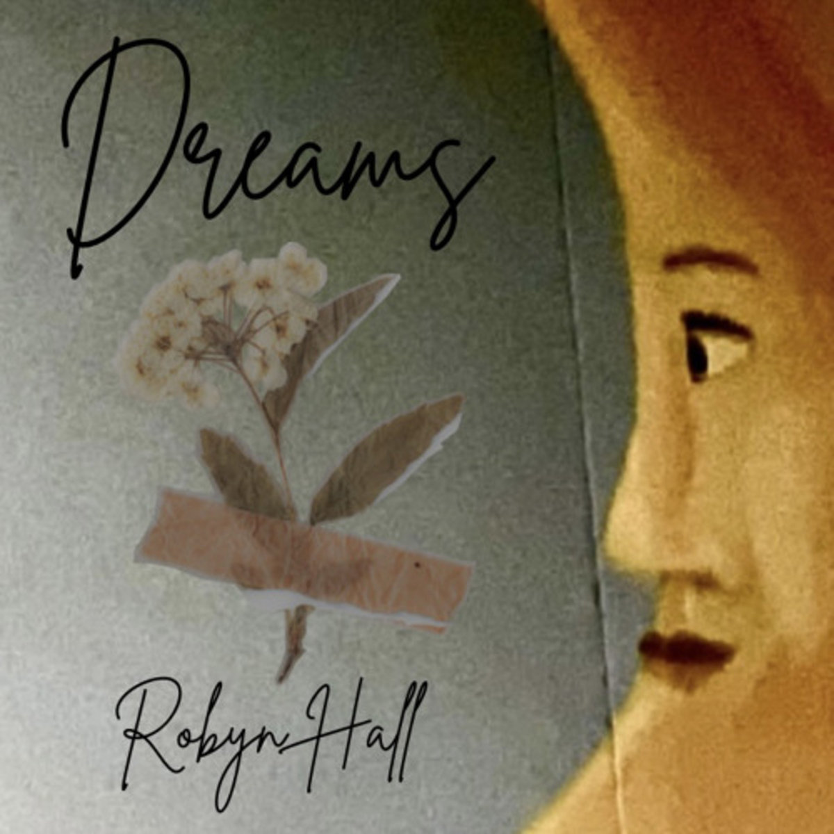 Dreams | Robyn Hall