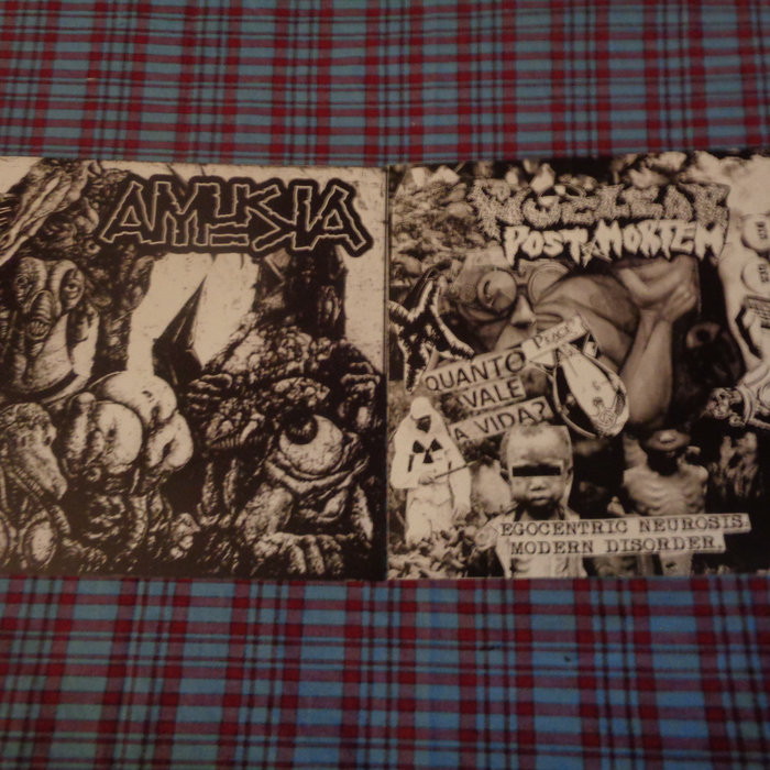 AMUSIA / NUCLEAR POST MORTEM Split | AMUSIA / NUCLEAR POST MORTEM | ZAS Autoproduzioni Rec.