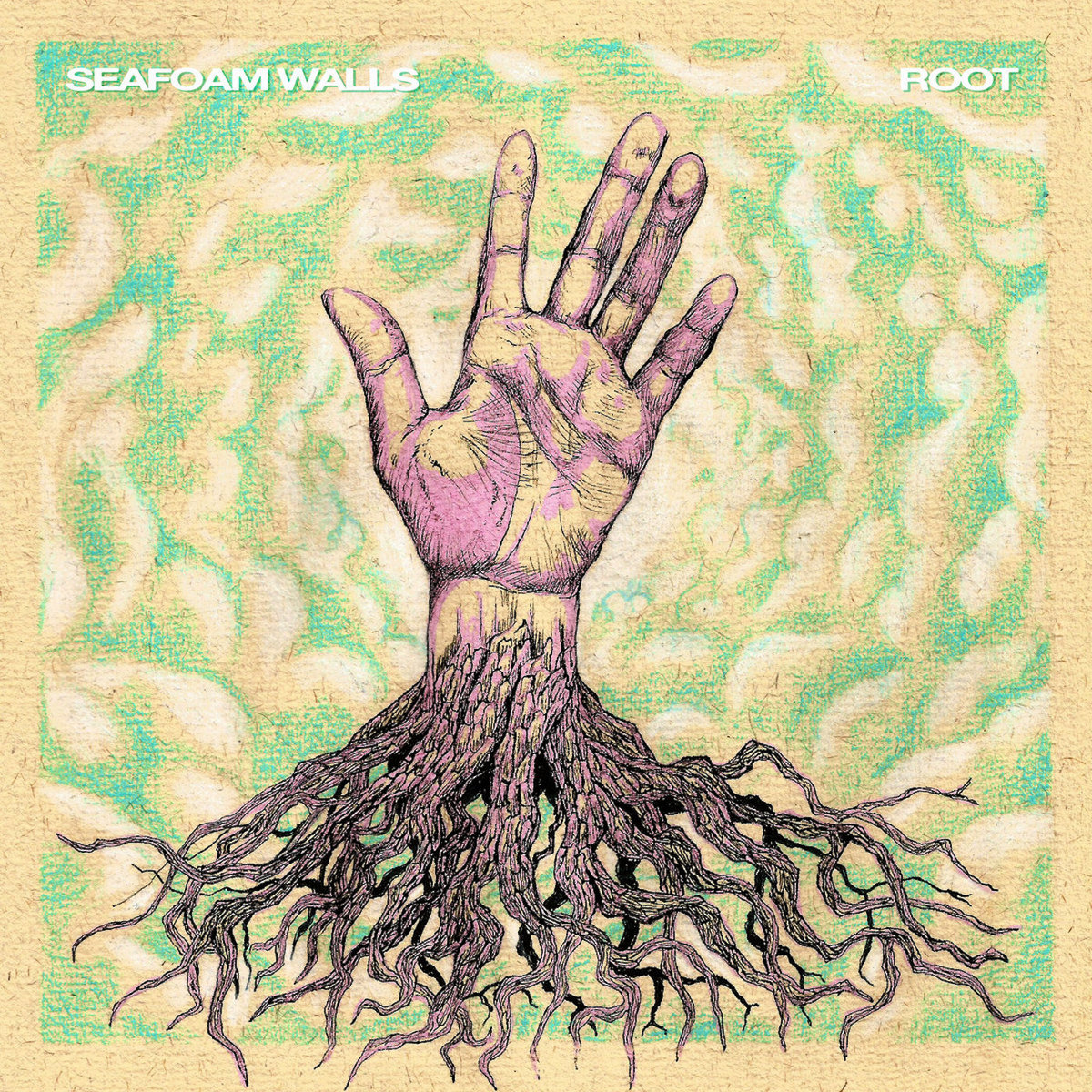 Root | Seafoam Walls | Dion Kerr