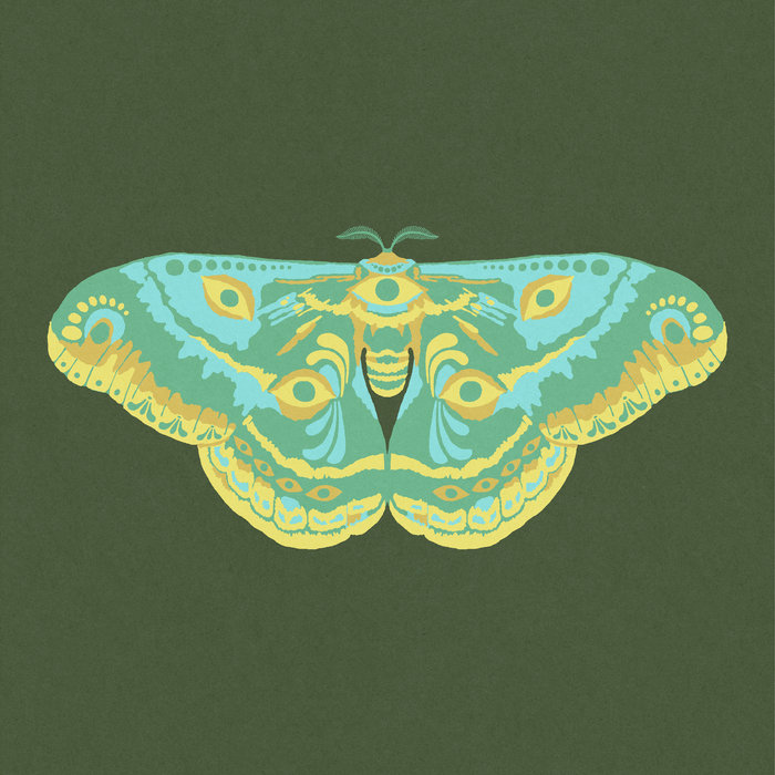 The Moth | SONS OF ZÖKU