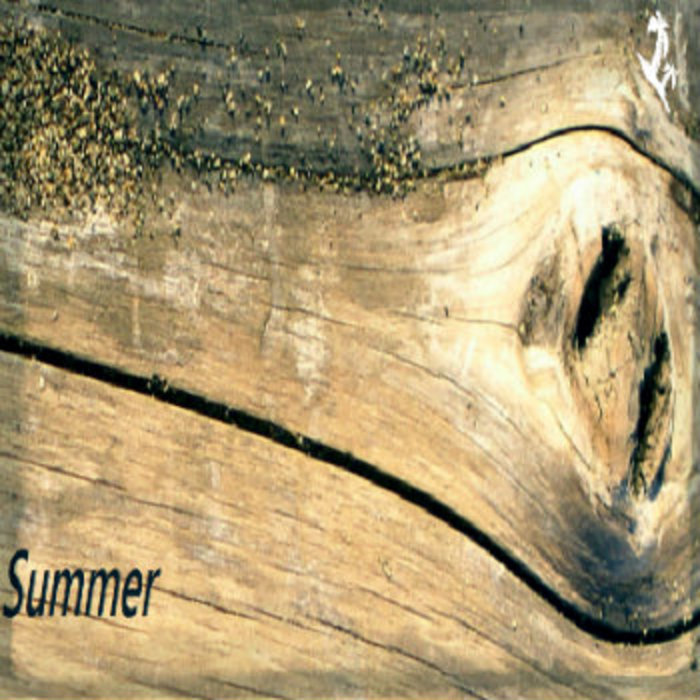 Summer | Dynamic Projections