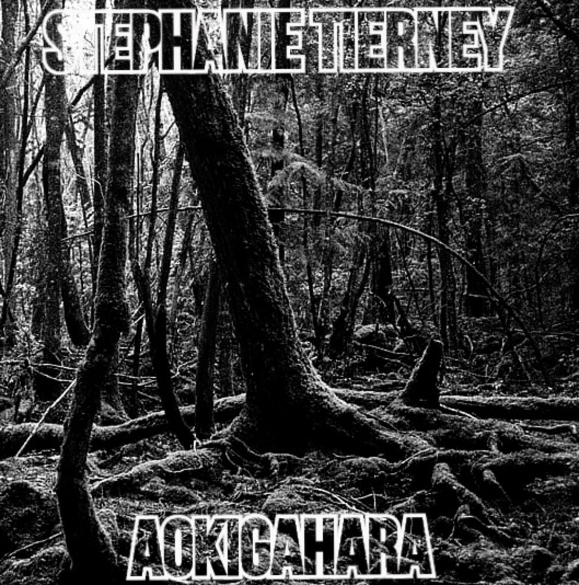 aokigahara | Stephanie Tierney