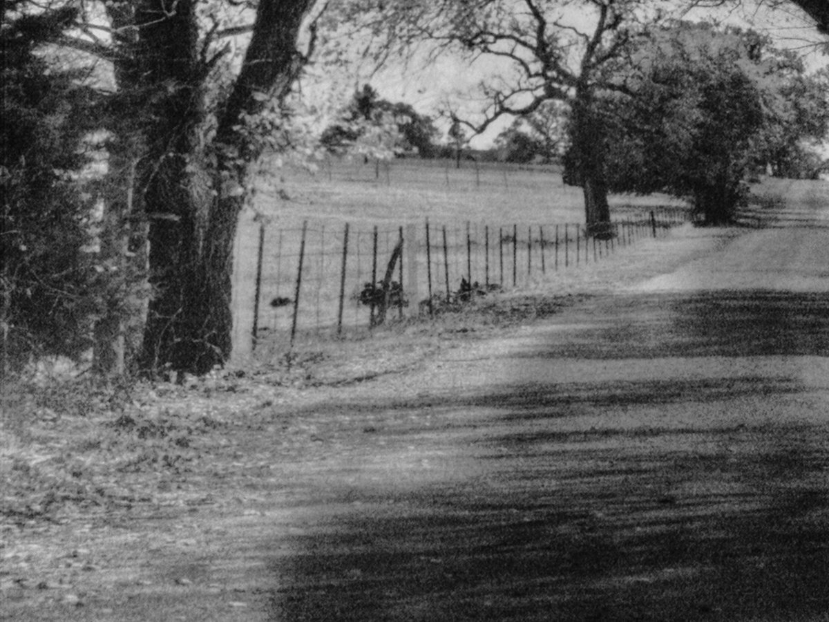 Country Life (single) | Bryan James Hadley