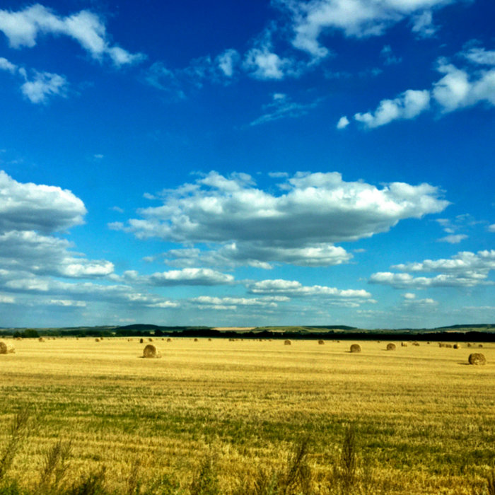 blinking back | singing sorrows | Desolate Horizons