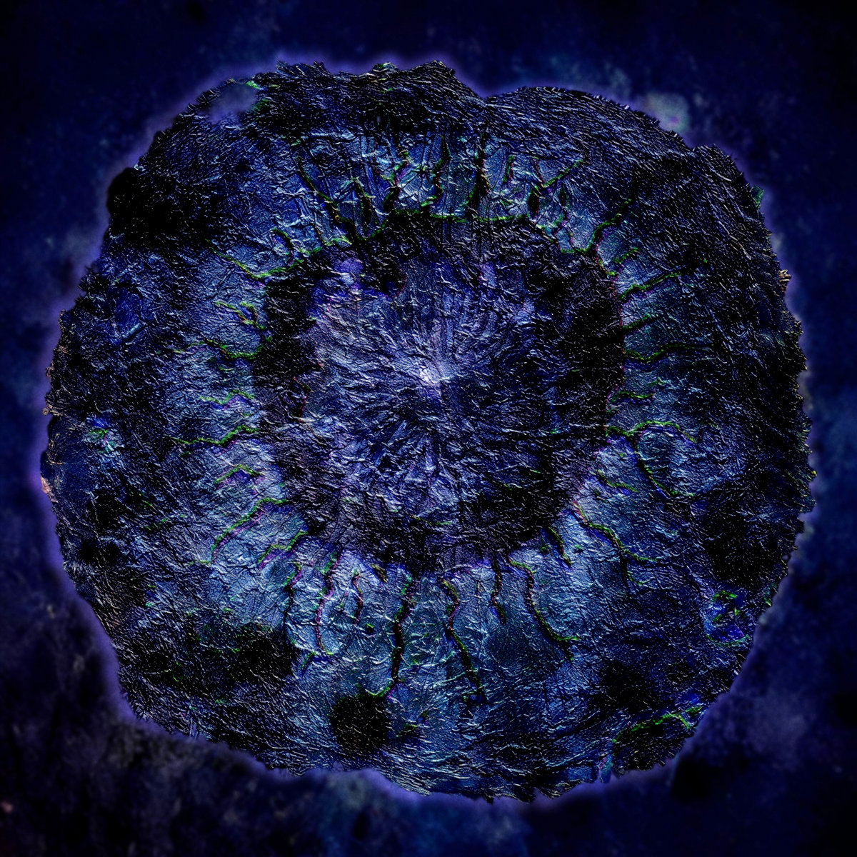 Decaying of Interstellar Extremophile | Blue Wind Echo