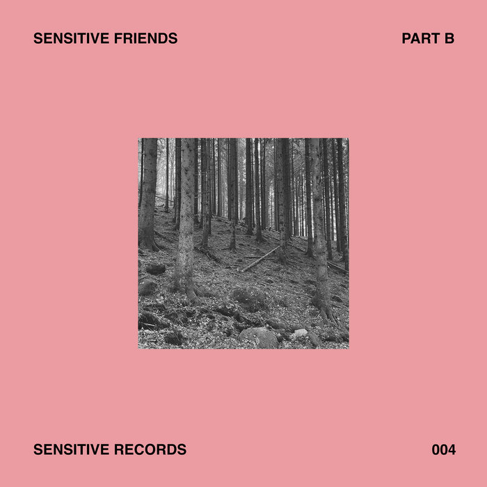 Sensitive Friends - Part B | Sensitive Records