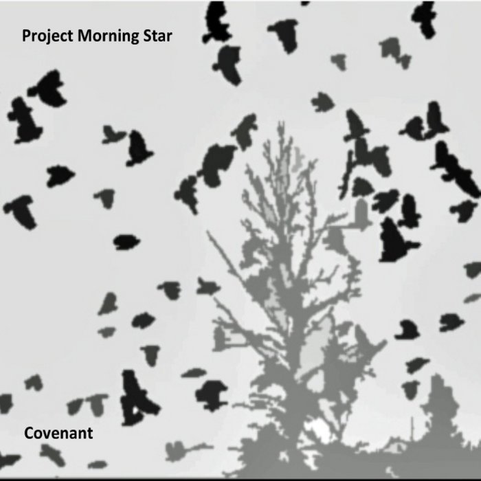 Covenant | Project Morning Star