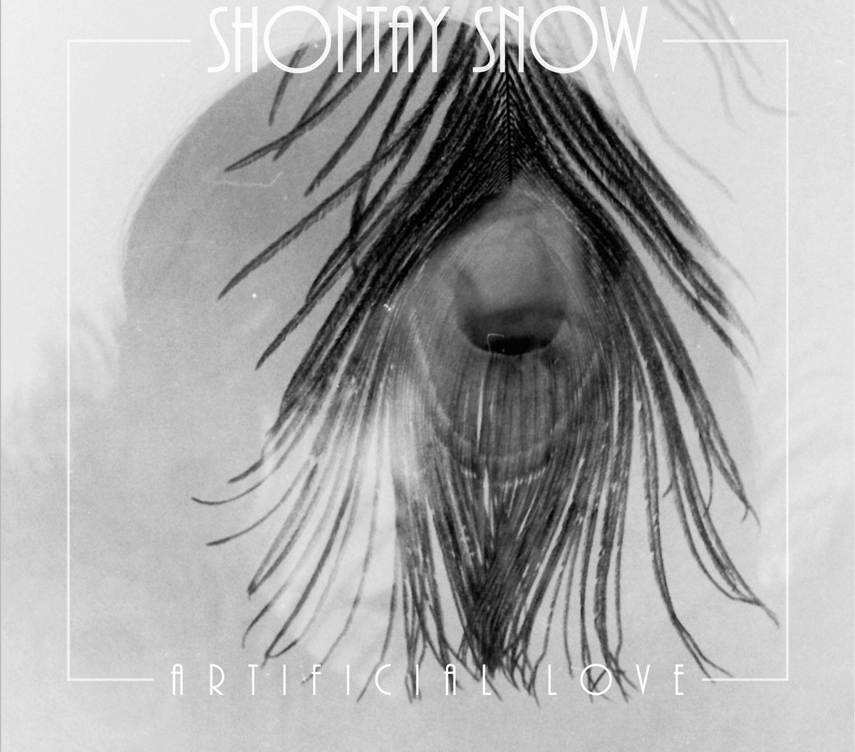 Artificial Love | Shontay Snow