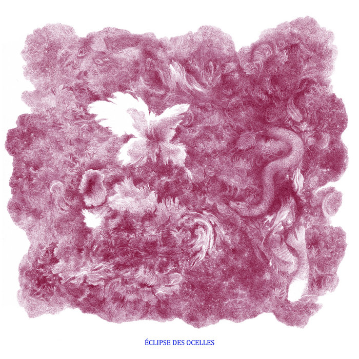 Éclipse des ocelles | Roxane Métayer | morctapes