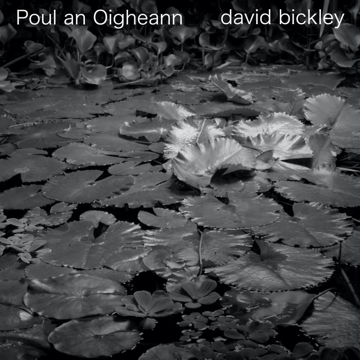 Poul an Oigheann | David Bickley