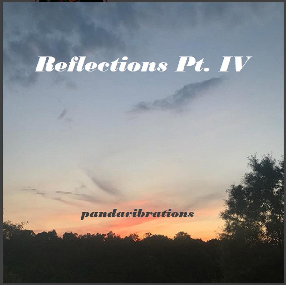 Reflections Pt. IV | Pandavibrations