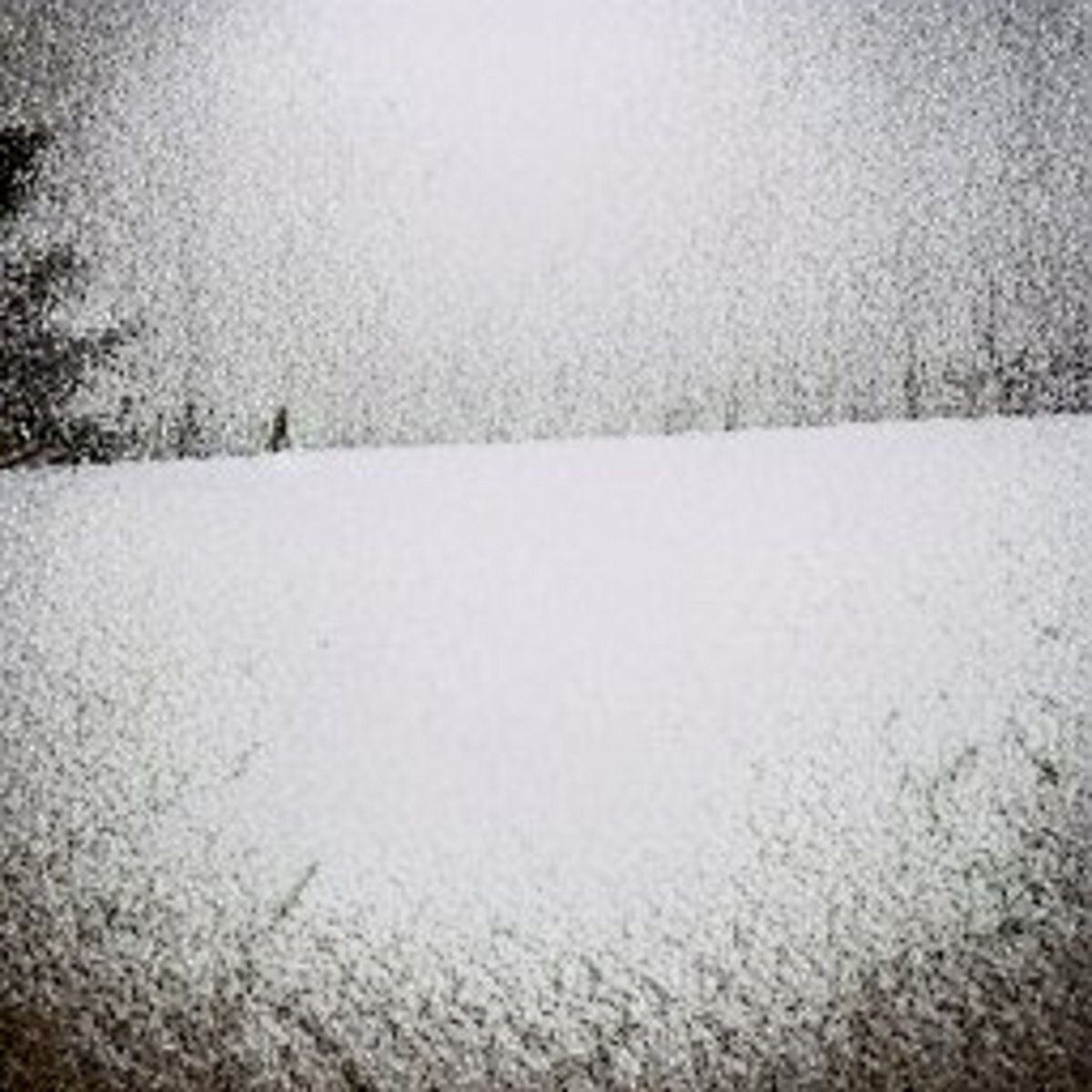 disconsolate | Sykdom