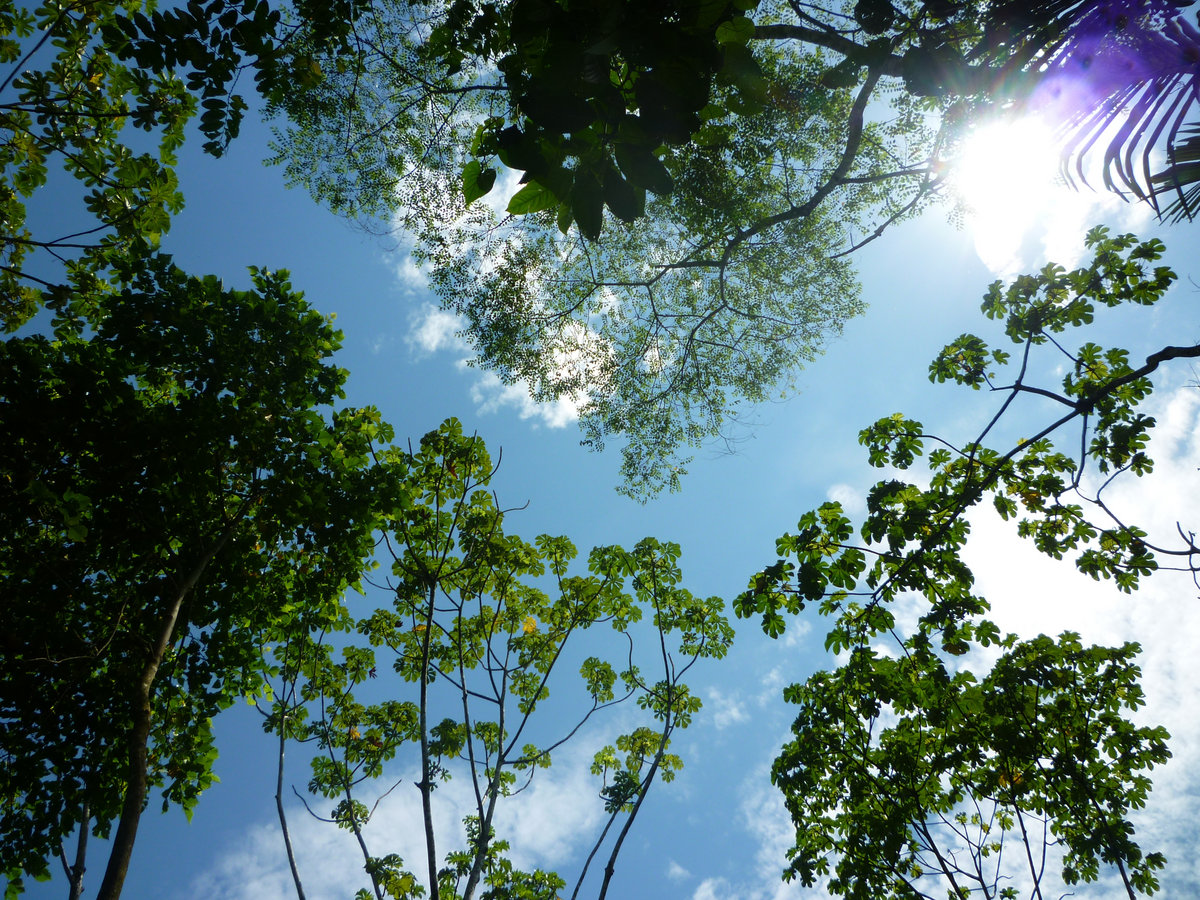 Sketches & Loops | Thomas Hoey